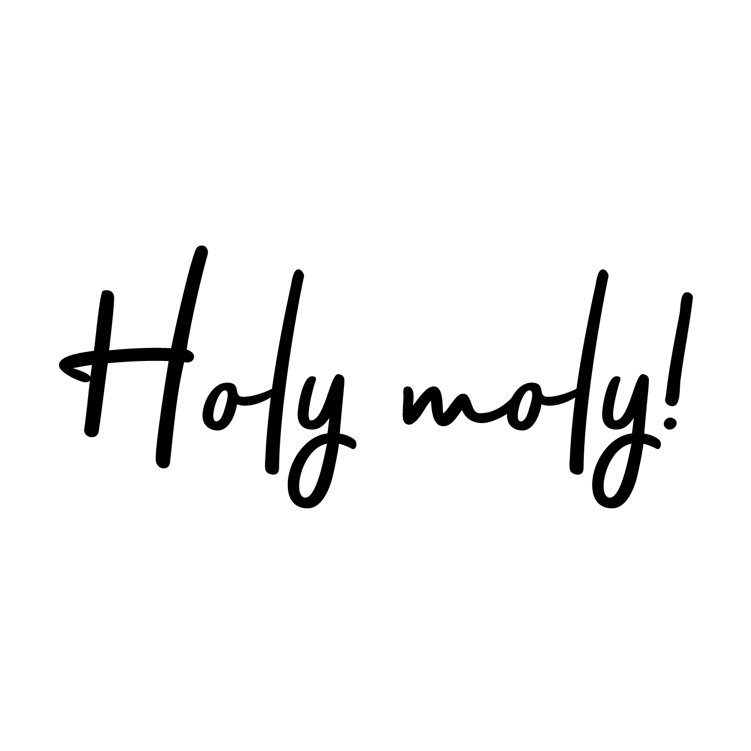 Vinyl Wall Art Decal - Holy Moly - 12. Modern Funny Surprise Slang Wor