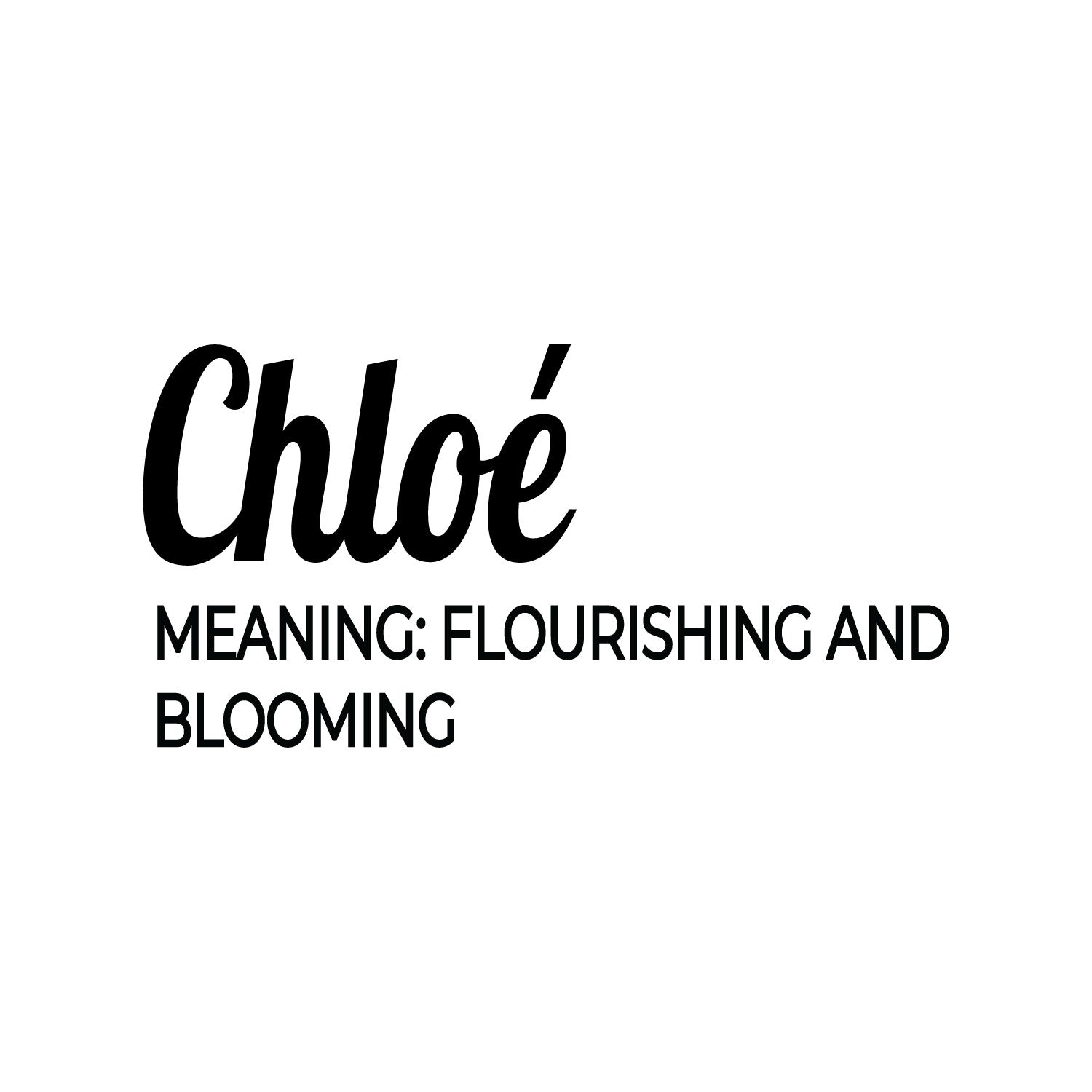 Vinyl Wall Art Decal - Chloe Meaning - Trendy Inspirational Quote Stic